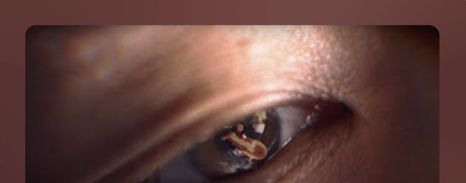 Playlist Rentrée | La Cave